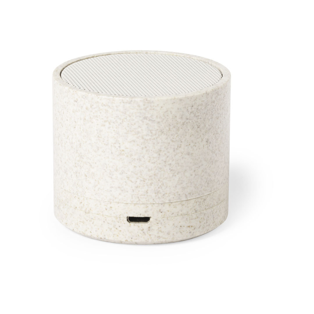 Eco friendly bluetooth speaker | Promotional Products Home, Bourne International